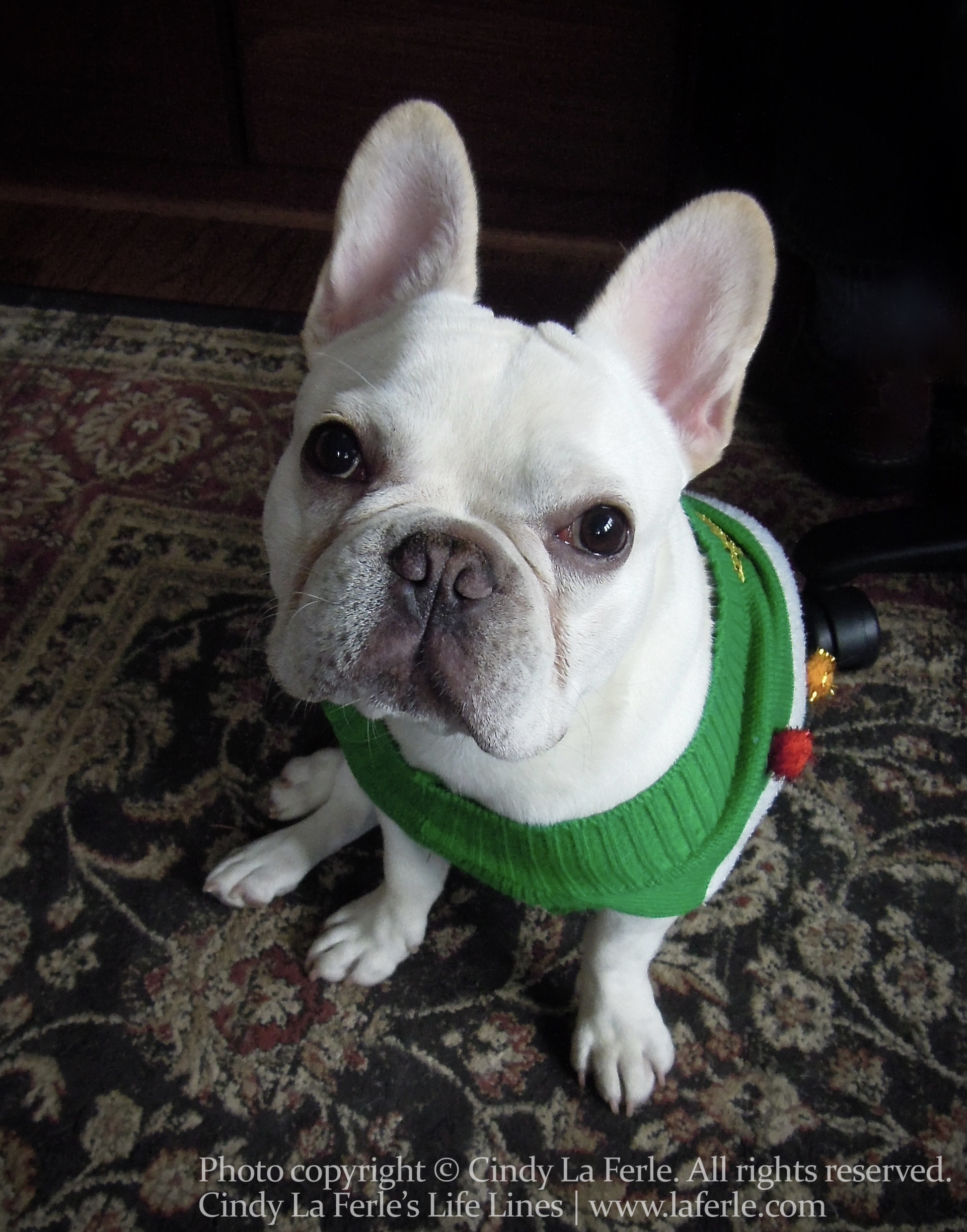 When you need time out | Cindy La Ferle's Life Lines