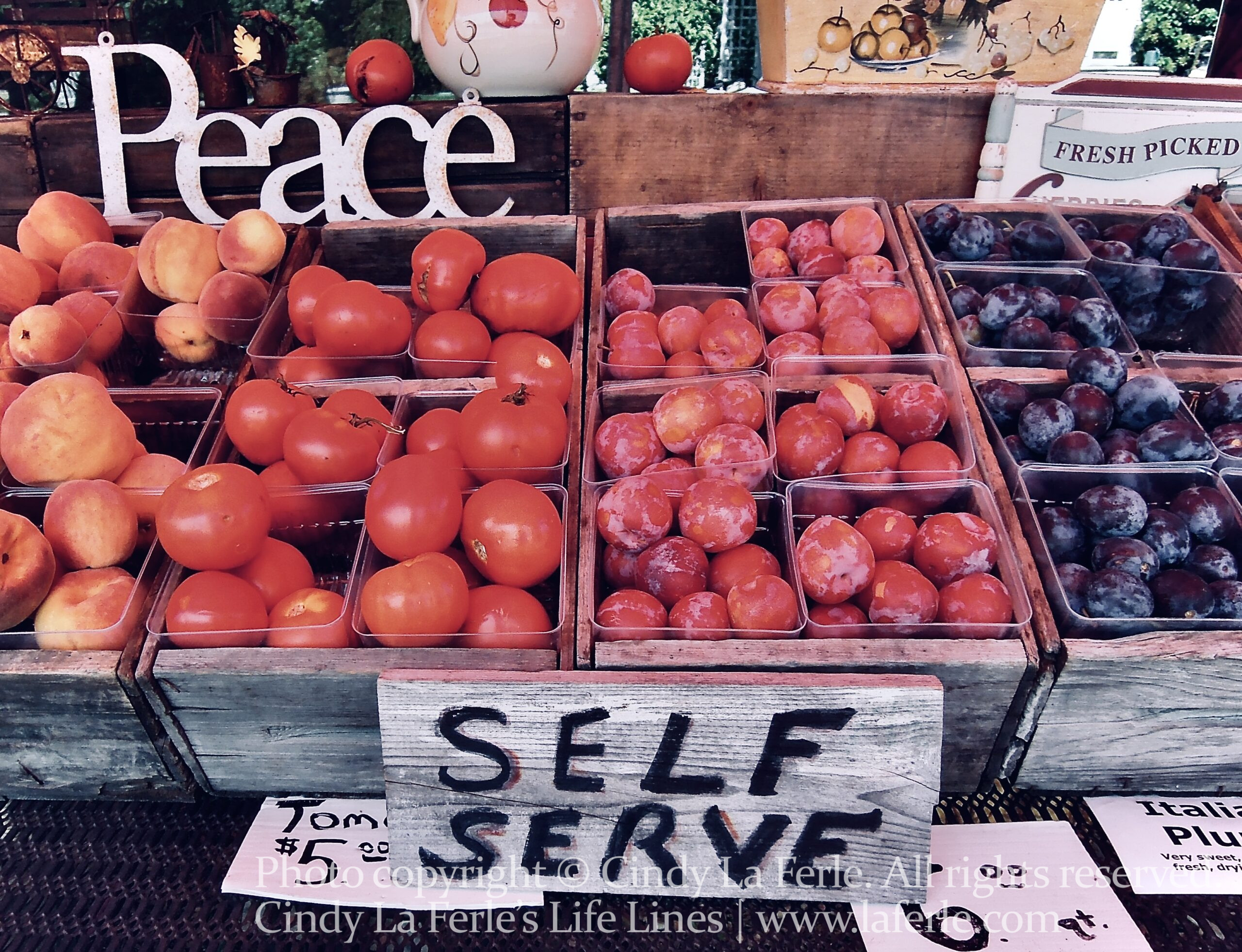 Respecting our food | Cindy La Ferle's Life Lines