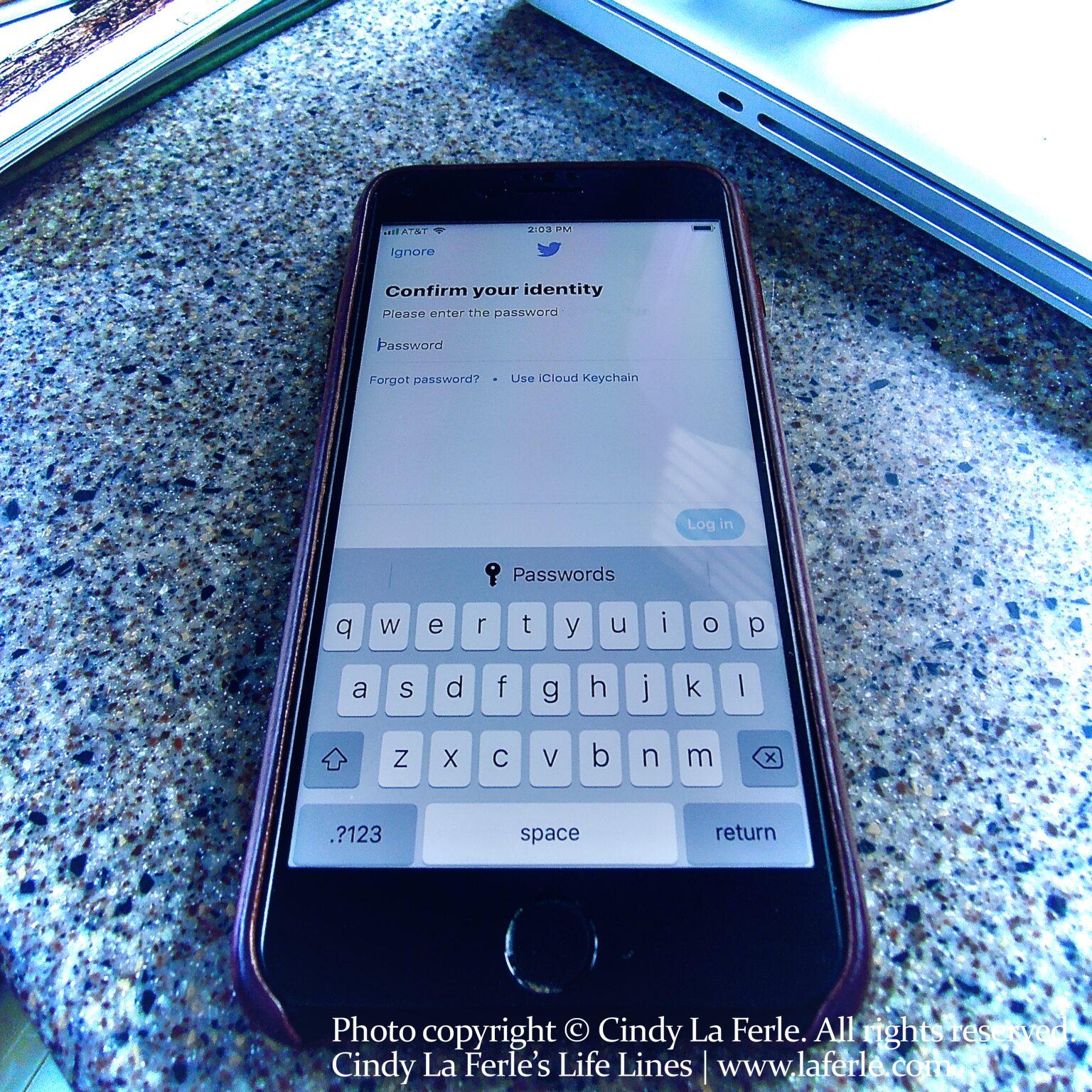 January 15, 2026 | Cindy La Ferle's Life Lines