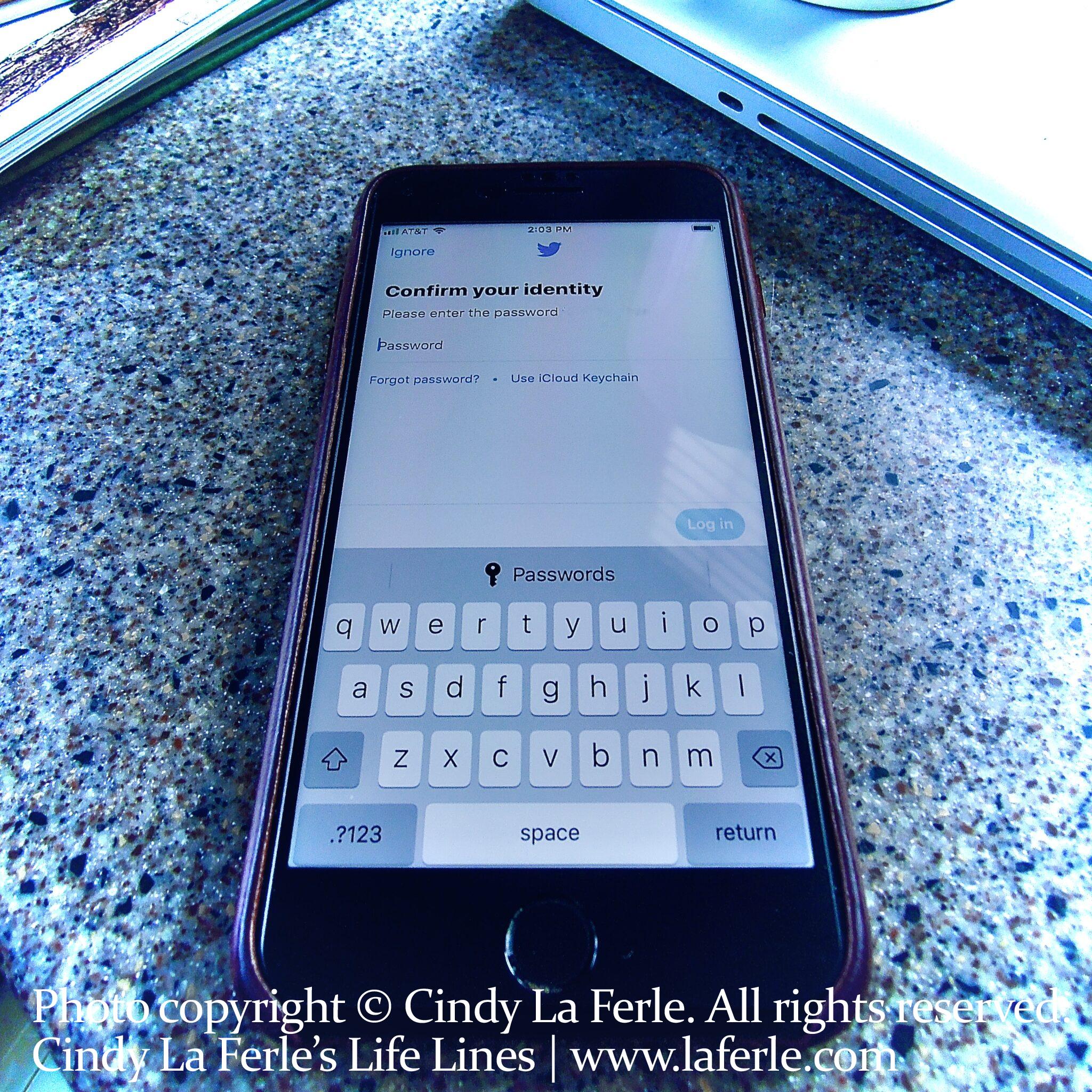 January 15, 2026 | Cindy La Ferle's Life Lines