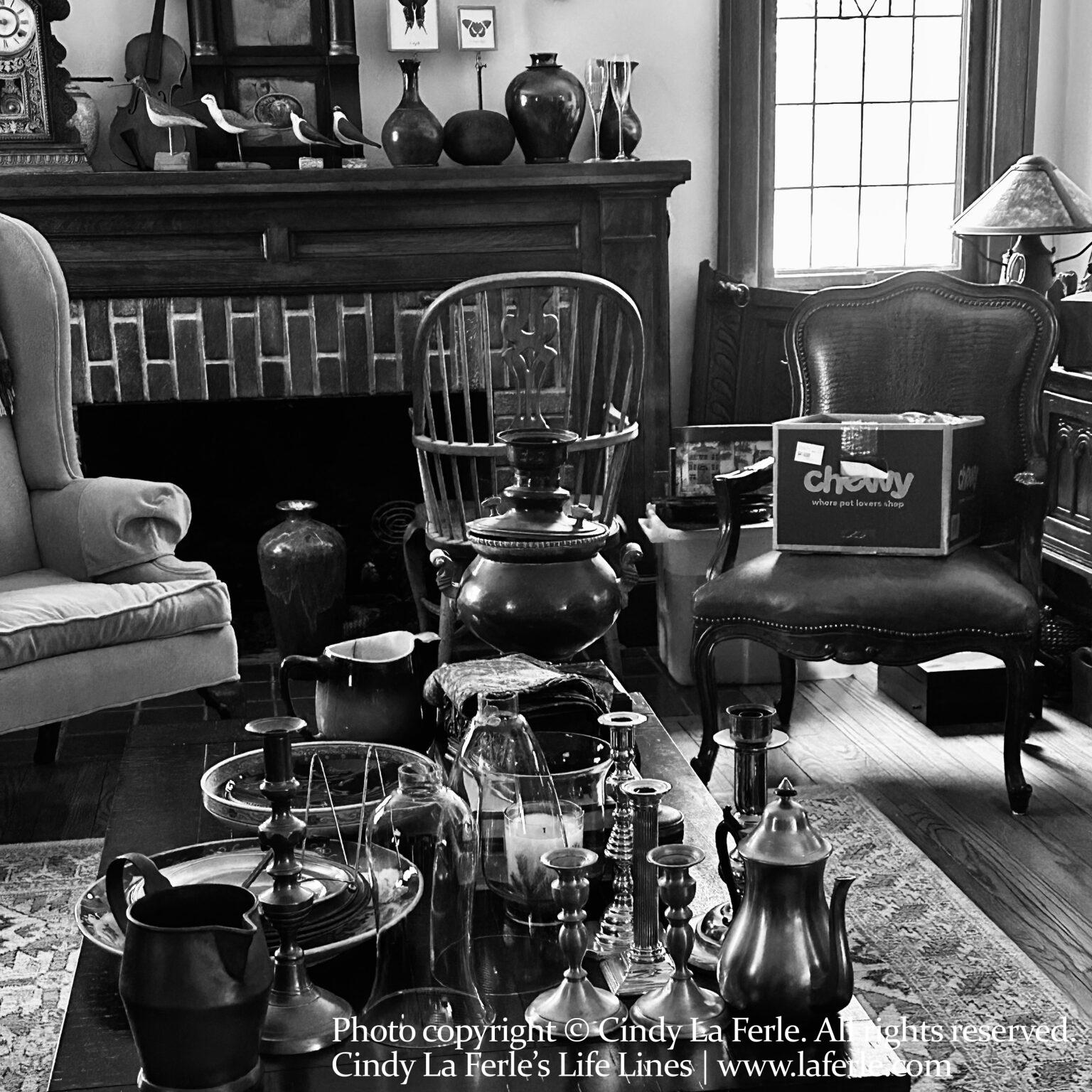 January 28, 2026 | Cindy La Ferle's Life Lines