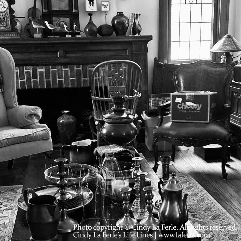 January 28, 2026 | Cindy La Ferle's Life Lines